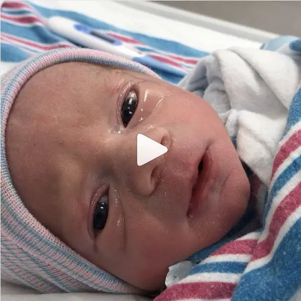 Mark Halperin Has The Cutest Baby But With A Wife? Is Secretly Married ...